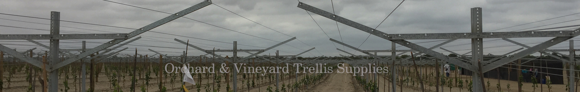 Quality Vertical Shoot Positioning (VSP) Trellis System Fabrikant en ...